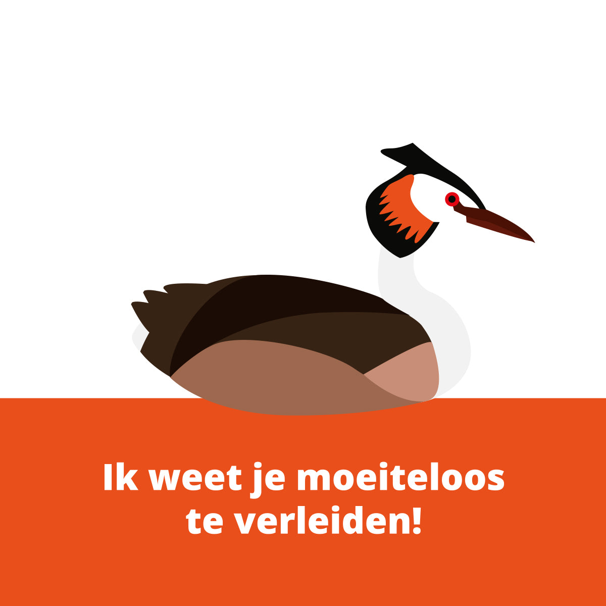 Fuut Fieuw - Bird Brewery. Bestel het bier online!